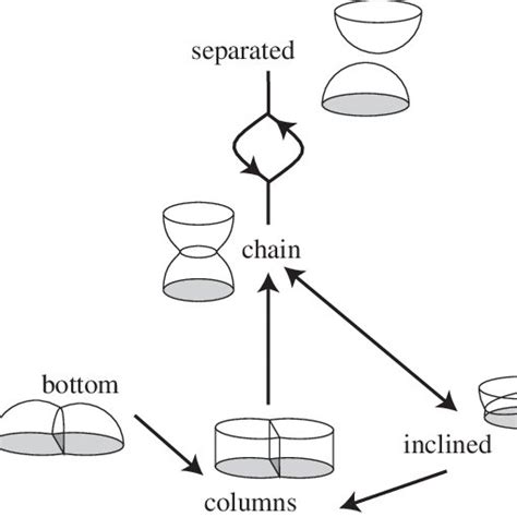 Schematic Overview Of The Different Configurations And Bifurcations Download Scientific Diagram