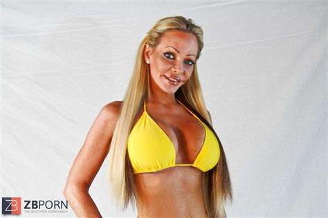 Houston Fake Jug Porn Industry Star In A Swimsuit Zb Porn