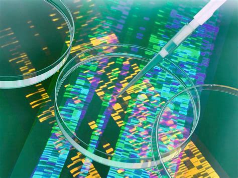 Transcriptomics Unleashed Analysis From Basics Using R And Linux Catr