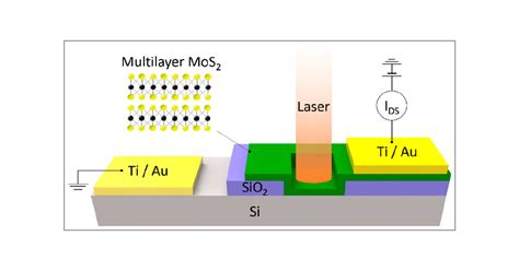 Si Mos2 Vertical Heterojunction For A Photodetector With High Responsivity And Low Noise