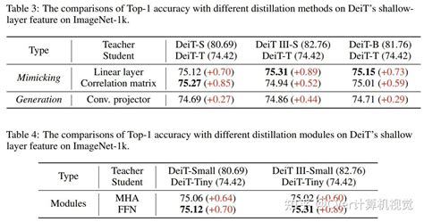 ViTKD视觉Transformer特征知识蒸馏的实用指南 知乎