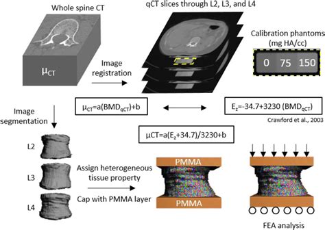Schematic For Procedures Of The FE Analysis Download Scientific Diagram