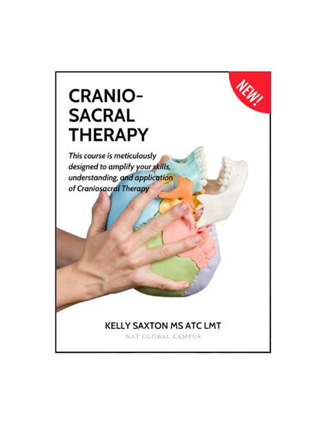 Integrative Cranio Sacral Therapy 55 Hrs Niel Asher Education