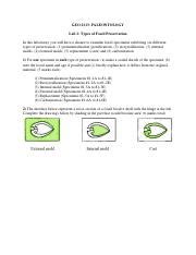 Lab 1 Pdf GEO 2113 PALEONTOLOGY Lab 1 Types Of Fossil Preservation In This Laboratory You