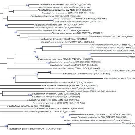 A Polyketide Synthase Pks Non Ribosomal Peptide Synthetase Nrps