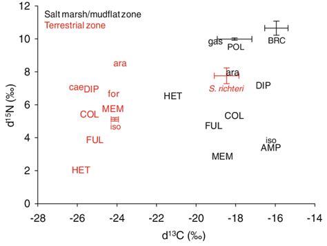 A Dual Isotope Plot Of Natural 13 C And 15 N Values For Invertebrates Download Scientific