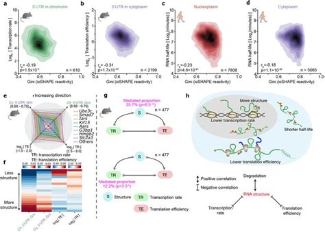 🏠 Home — Fazal Lab