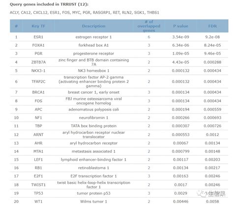 差异基因分析完之后不知道下步该怎样做？小果教你这么办！ 哔哩哔哩