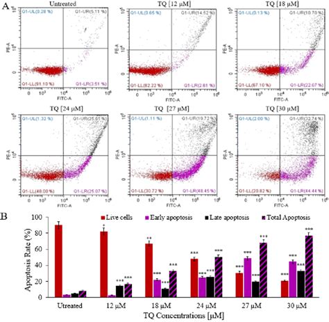 Dose Course Flow Cytometry Analysis Of K562 Cells After Tq Treatment