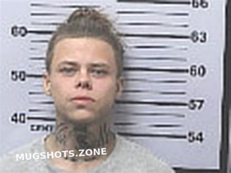Dinkins Joshua Devan 10 24 2024 Mobile County Mugshots Zone