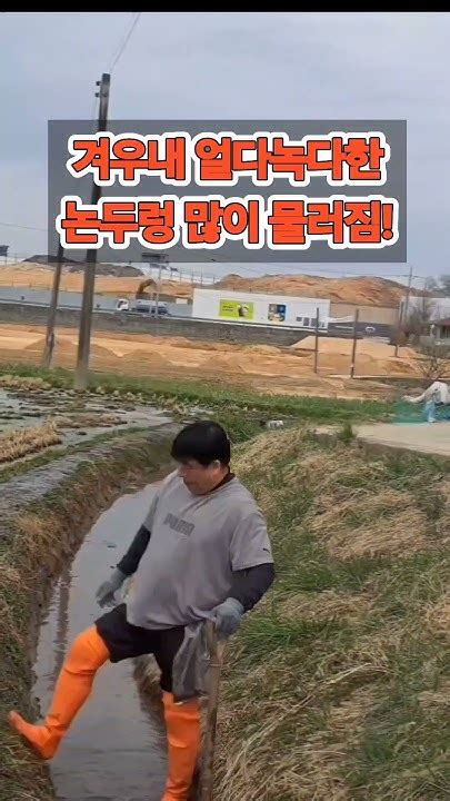 나는야 친환경 농사꾼 삽으로 논두렁 만들고 미꾸라지 잡고 이천머기미쌀친환경쌀 자연산미꾸라지건강한농사치유농업 Youtube
