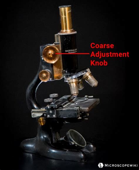 Parts Of The Microscope Labeled Diagrams Simple And Compound Microscope