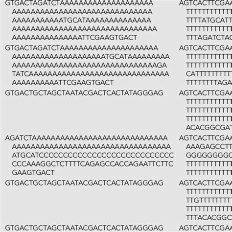 Segmented Polya Sequences And Their Corresponding Cloning Strategy