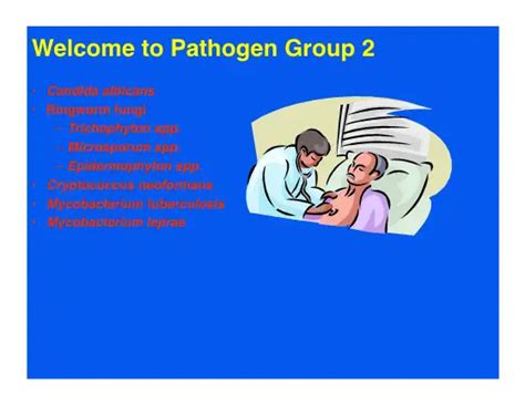 Candida Albicans • Ringworm Fungi Trichophyton Spp Docslib