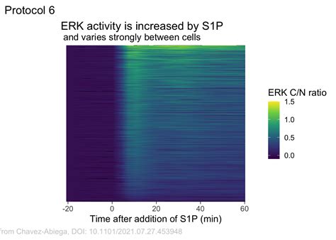 Chapter 4 Complete Protocols Dataviz Protocols