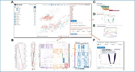 Researchers Curate Rna Seq Datasets To Develop An Interactive Portal For Intuitive Investigation