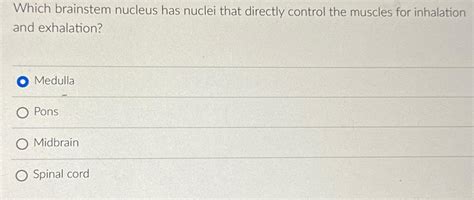 Solved Which Brainstem Nucleus Has Nuclei That Directly