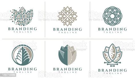 고급 기하학적 자연 꽃잎 꽃 디자인 세트입니다 장식용 꽃 브랜딩 0명에 대한 스톡 벡터 아트 및 기타 이미지 0명 건강한 생활방식 기업 비즈니스 Istock