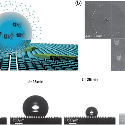 A Schematic Of The Working Principle Of The Single Molecule Detection Download High