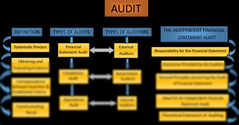 SOLUTION Audit Concept Map Studypool