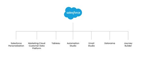 Salesforce Journey Builder