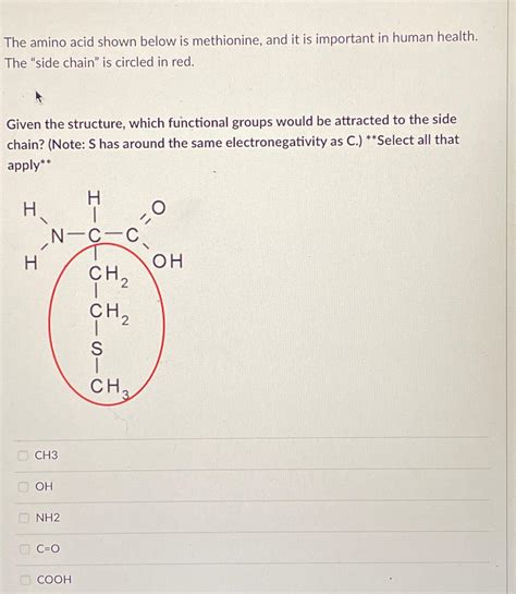 Solved The Amino Acid Shown Below Is Methionine And It Is