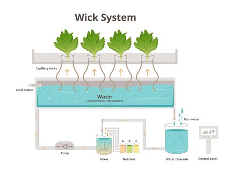 Hydroponic System Schematic Prosystem Aqua Hydroponic System Ph And Ec
