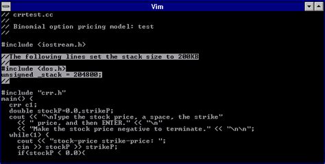 Symantec C Instructions