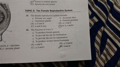 TOPIC 2 The Female Reproductlve System 39 The Female Reproductive Syste