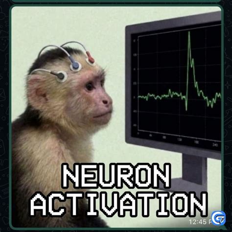Neuron Activation Meme S Images 4k Buon 