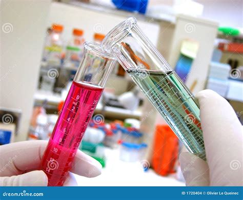 Laboratory Experiment In Science Research Lab Stock Images Image