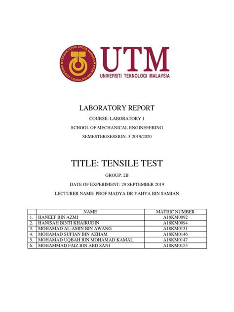 Tensile Test Lab Report Pdf Deformation Engineering Youngs Modulus