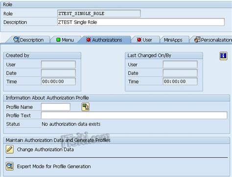 Pfcg Assign Authorization Object Into Role