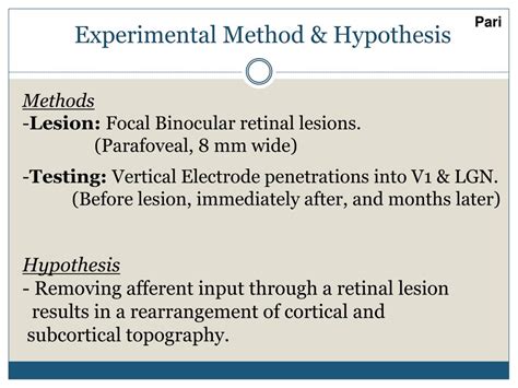 PPT Receptive Field Dynamics In Adult Primary Visual Cortex PowerPoint Presentation ID 6883757