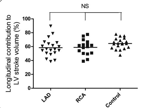 Comparison Of The Longitudinal Contribution To LV Stroke Volume For Download Scientific Diagram