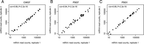 Correlation Analysis Between Independent Biological Replicates From Download Scientific Diagram