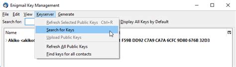 How To Use PGP For Windows Surveillance Self Defense