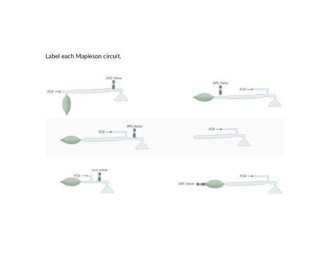 Mapleson Circuits Quiz