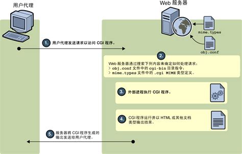 CGI 概述 Sun Java System Web Server Update 管理员指南