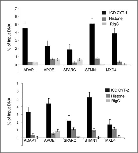 Quantitative Real Time Pcr Validation Of Chip Seq Targets Sequences Download Scientific