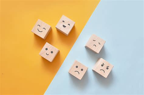 Developmental Relations Between Emotion Input And Emotion Perception Rutgers Research