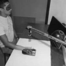 Experimental Workspace Download Scientific Diagram