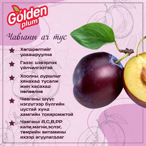 АЛТАН ЧАВГА ГЭЖ НЭРЛЭДЭГИЙН Golden Plum Juice Mongolia