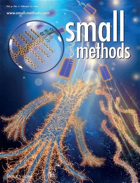 Conjugated Block Copolymers Formation Of Hierarchical Architectures