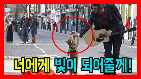 마약 중독에 쩔어 있던 노숙자 그에게 찾아온 길냥이 한마리 Youtube