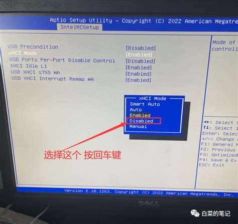 白菜：usb控制器资源不足怎么办？ 知乎