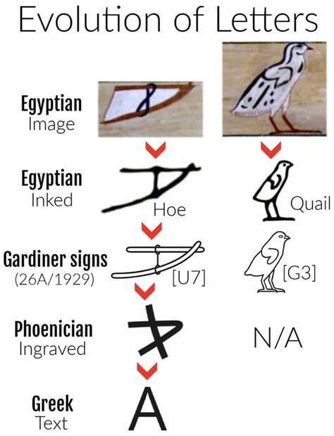 Evolution Of Letters Ralphanumerics