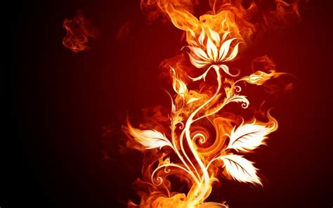Wallpaper For Fire Tablet 82 Images