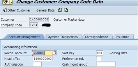 Sap Fico Central Head Office And Branch Concept Demostrated For Both Vendors And Customers