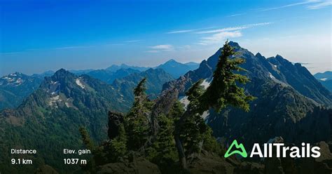 Mount Ellinor Winter Route Washington 698 Reviews Map Alltrails
